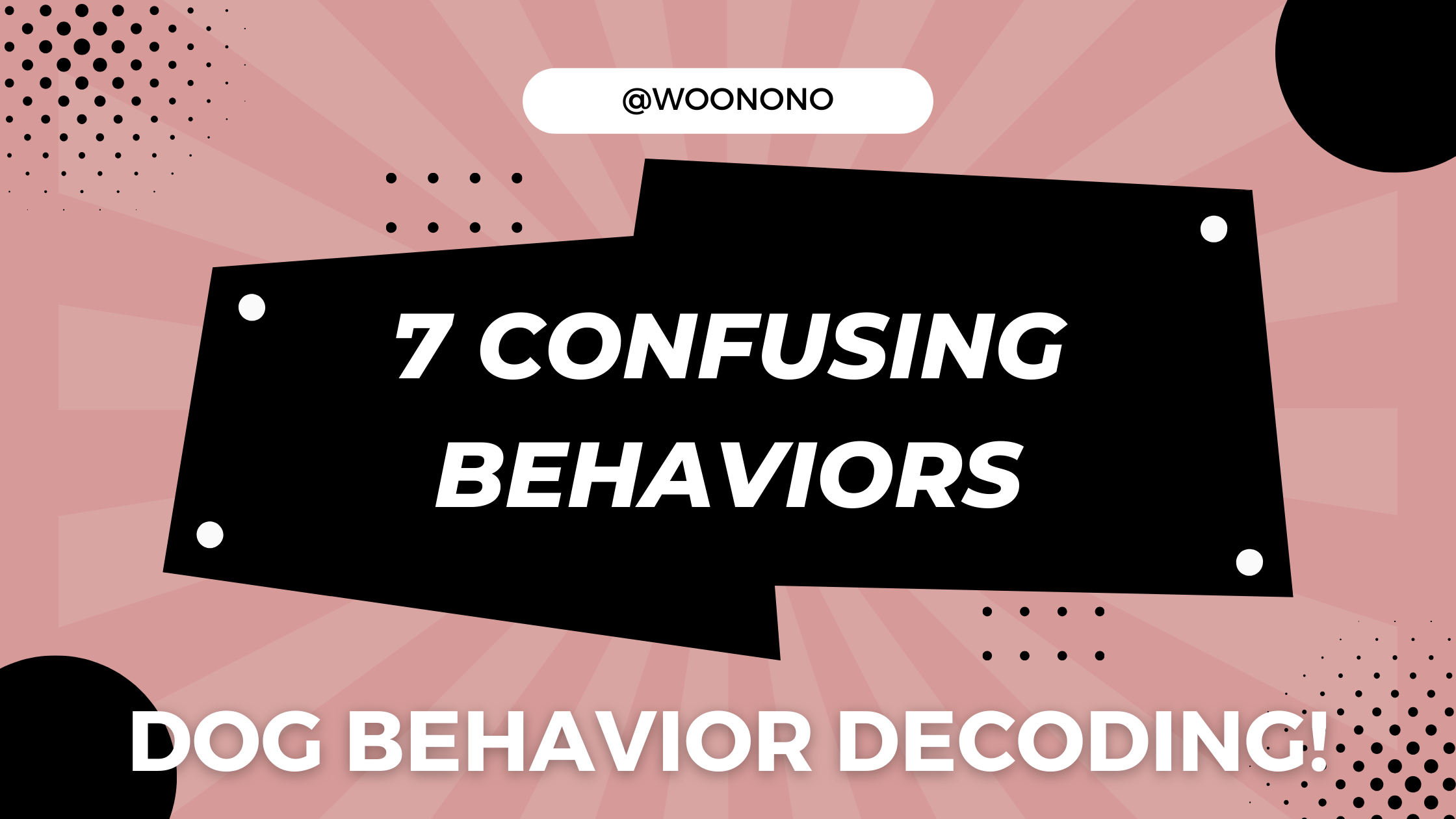 7 Confusing Behaviors – WOONONO