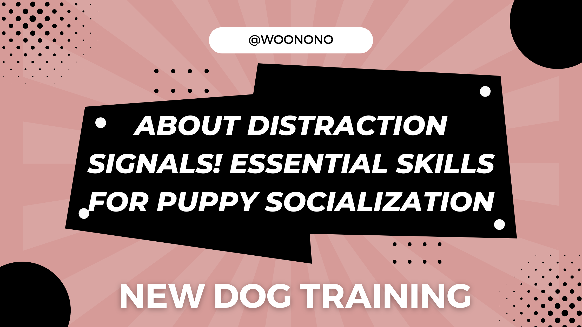 About Distraction Signals! Essential Skills for Puppy Socialization ...